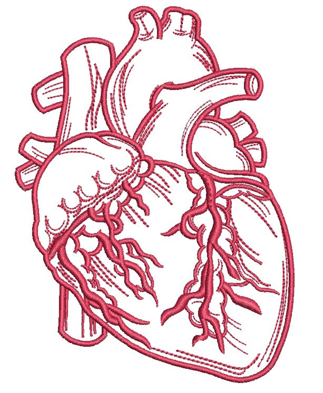 Realistic Human Heart Machine Embroidery Design / Instant Download - Etsy