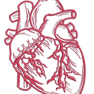 Realistic Human Heart Machine Embroidery Design / Instant Download - Etsy
