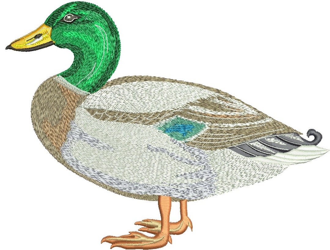 Mallard Duck Embroidery Machine Embroidery Design - Instantly Download ...