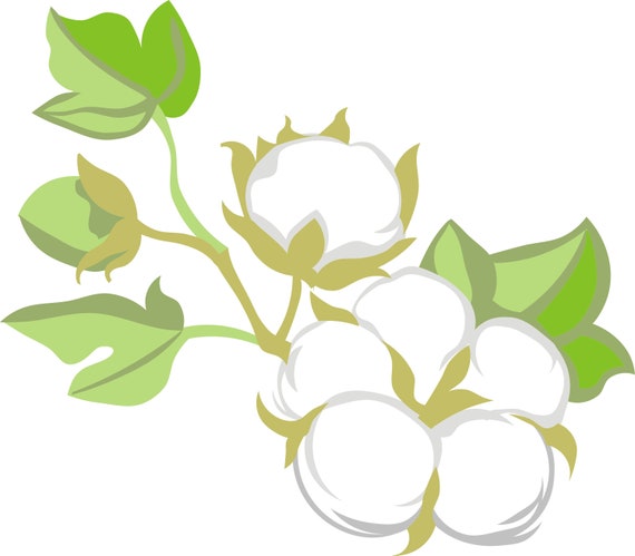 Branch of Cotton and Leaves Vector Files Instant Download - Etsy Canada
