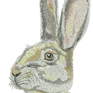 Rabbit Wild Hare Machine Embroidery Design Tested - Etsy