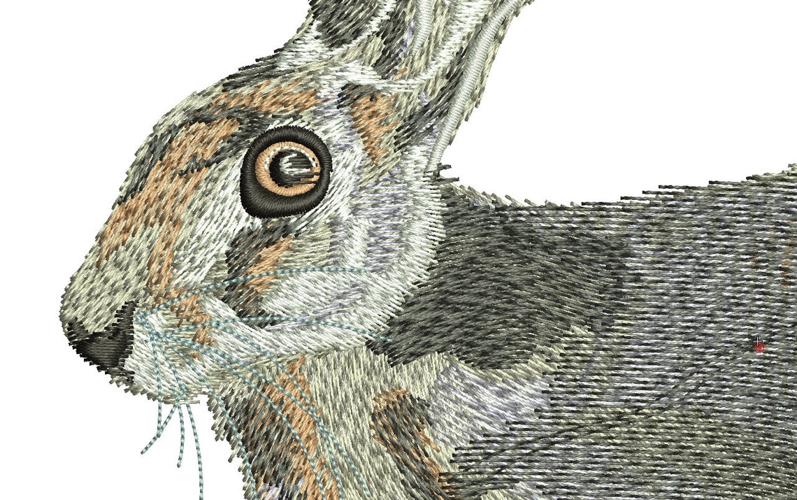 Hare Rabbit Embroidery Machine Embroidery Designs Design is - Etsy