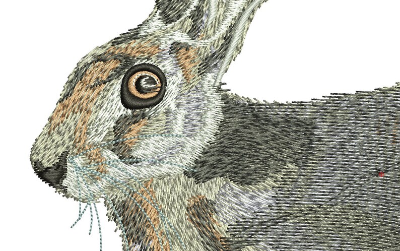 Hare Rabbit Embroidery Machine Embroidery Designs Design is - Etsy