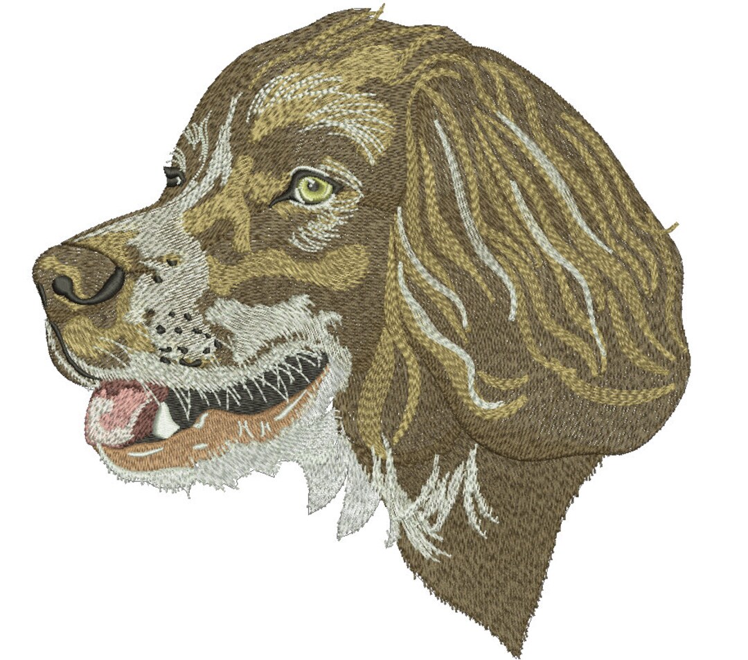 English Springer Spaniel Head Machine Embroidery Design - Etsy