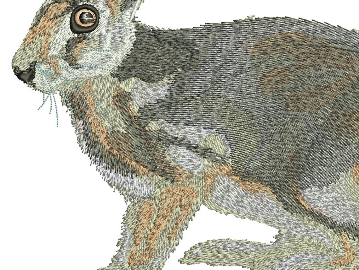 Hare Rabbit Embroidery Machine Embroidery Designs Design is - Etsy