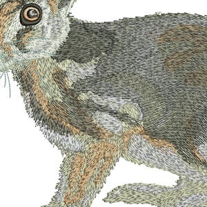 Hare Rabbit Embroidery, Machine Embroidery Designs Design is Tight ...