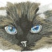 Cat With Blue Eyes Machine Embroidery Designs Tested - Etsy