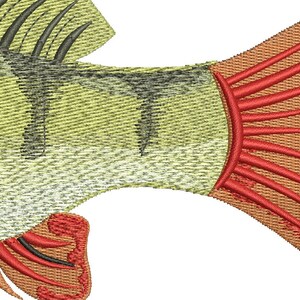 Bass Fish Perch Machine Embroidery Design Instant Download - Etsy