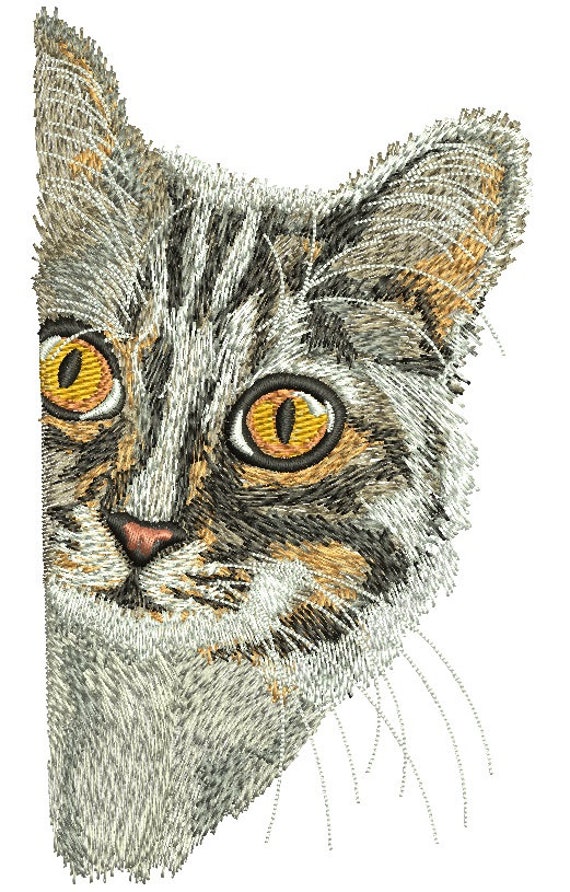 Cat Peeking Around Corner Drawing