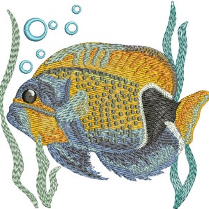 Fish Machine Embroidery Design Instant Download Digital File - Etsy