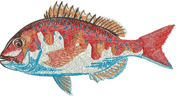 Red Sea Bream Fish Machine Embroidery Design Instant - Etsy