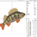 Perch Machine Embroidery Design Instant Download - Etsy
