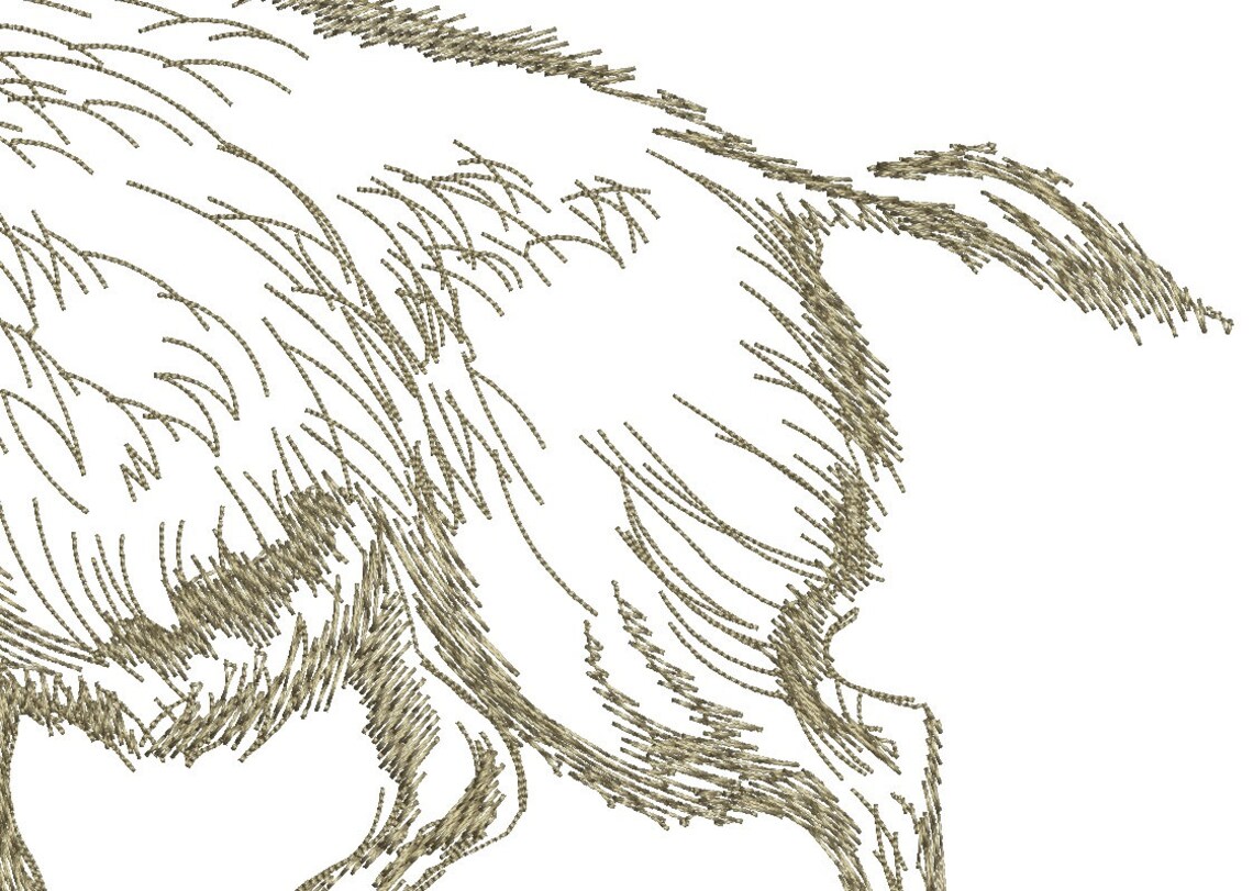 Wild Boar Machine Embroidery Designs INSTANT DOWNLOAD - Etsy