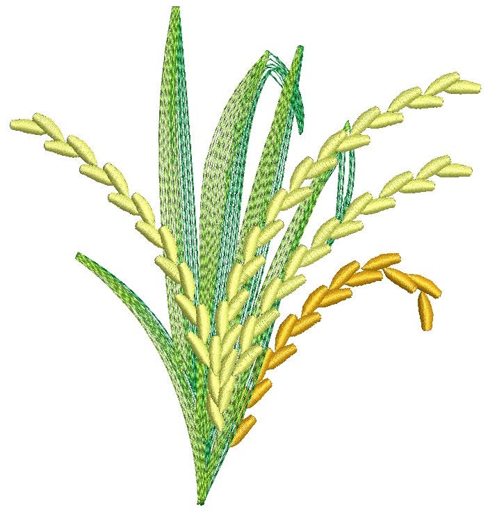 Rice Crop Clipart Png