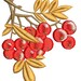 Rowan Branch Machine Embroidery Design | Etsy