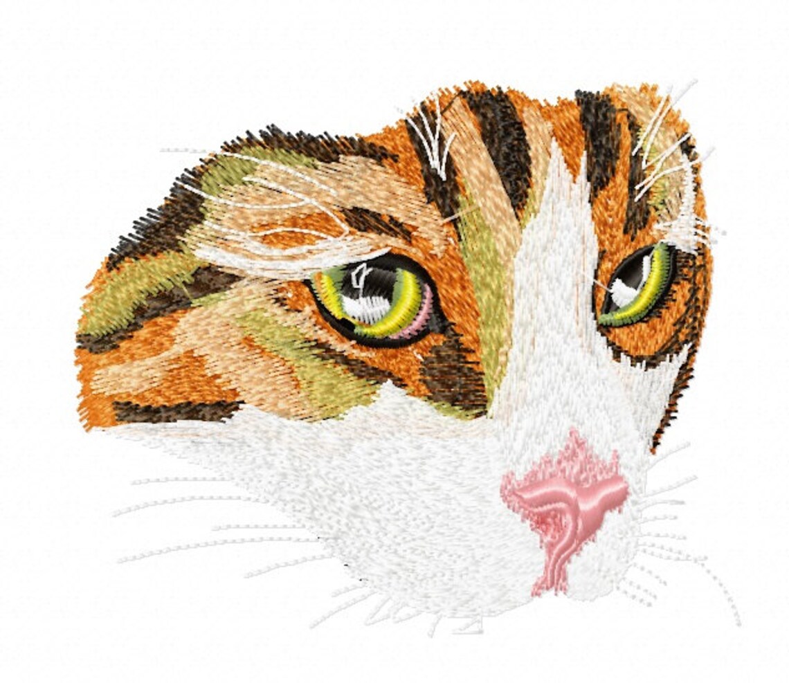 Cat Machine Embroidery Designs Tested - Etsy