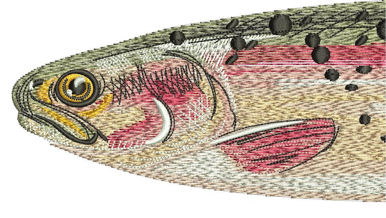Cutthroat Trout Fisherman Embroidery Design - Etsy