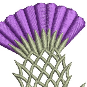 Thistle Branchembroidery - Machine Embroidery Design - Etsy