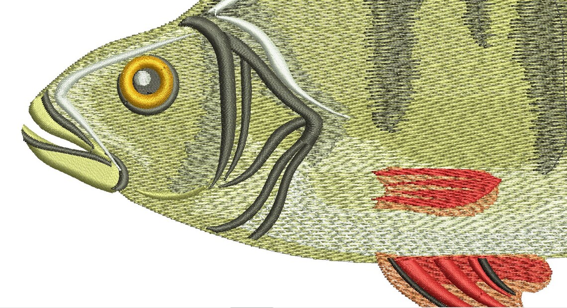 Bass Fish Perch Machine Embroidery Design Instant Download - Etsy Australia