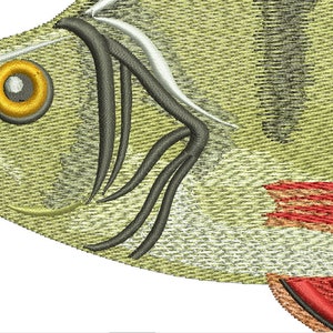 Bass Fish Perch Machine Embroidery Design Instant Download - Etsy
