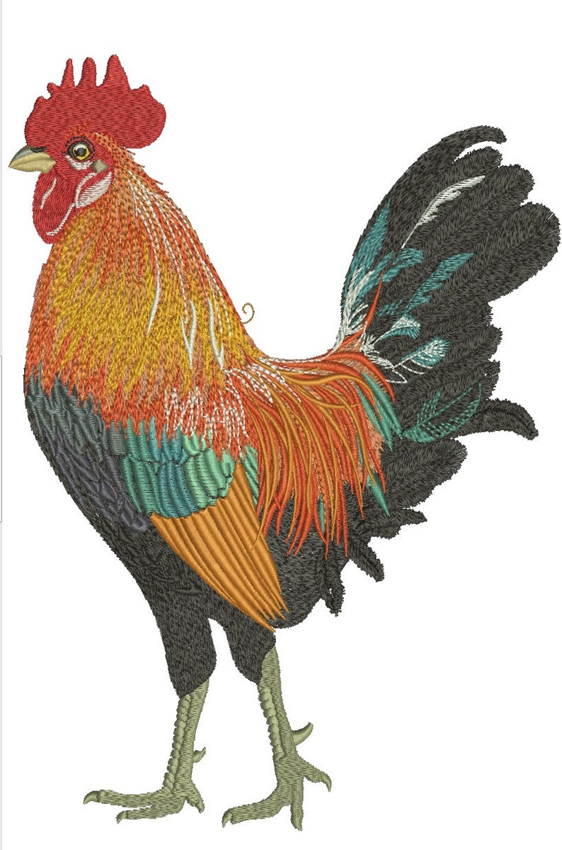 Rooster Machine Embroidery Design - Etsy