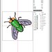 Realistic Green Fly Machine Embroidery Designs INSTANT DOWNLOAD - Etsy