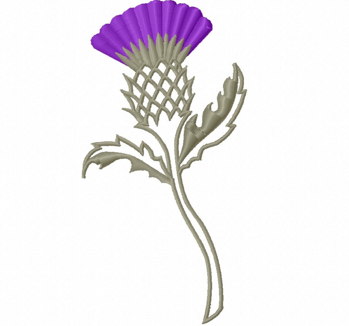 Thistle Branchembroidery Machine Embroidery Design - Etsy