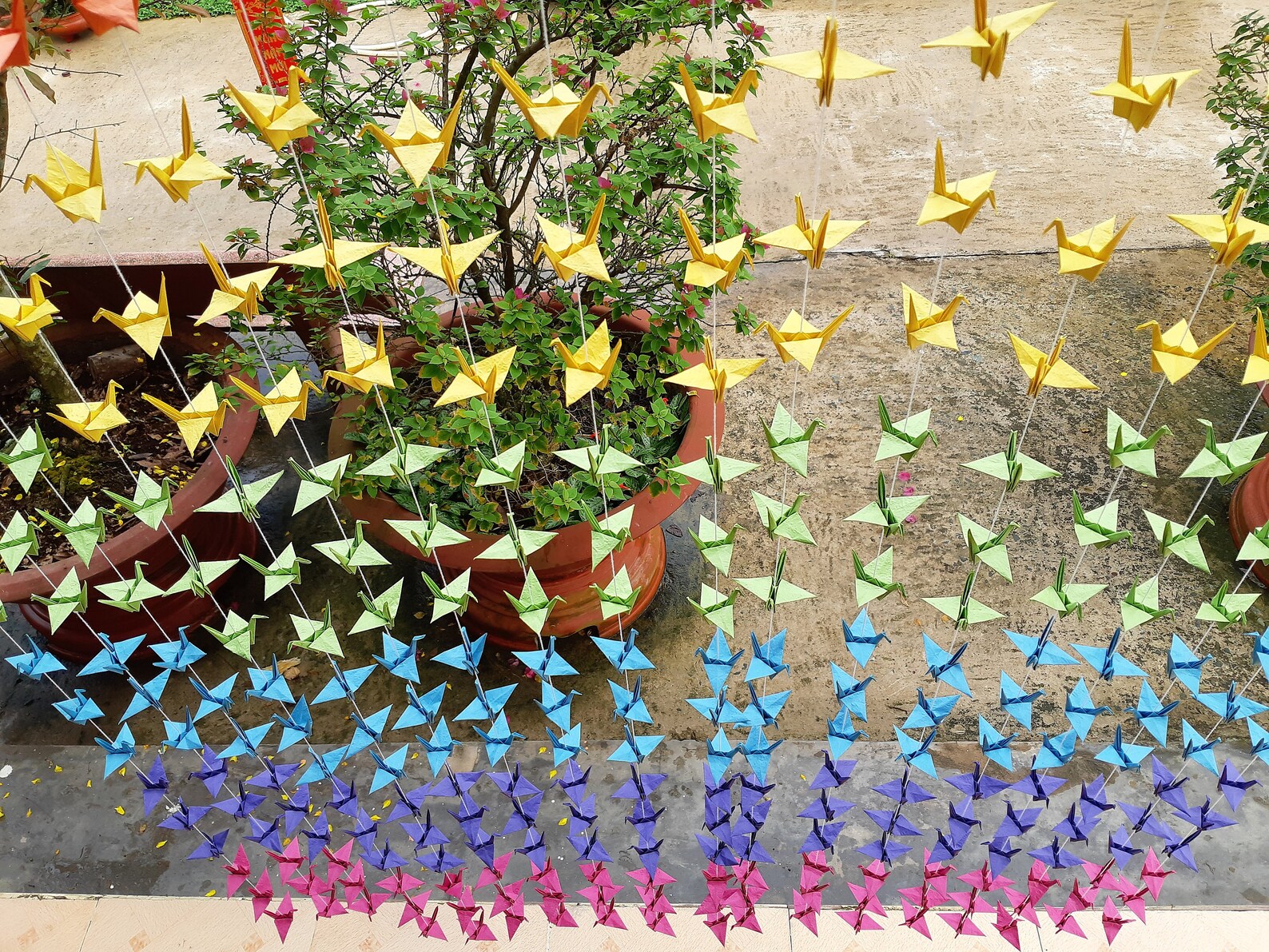 1,008 Paper Cranes Garland, Rainbow Color (4" X 4" Paper Size), Wedding ...