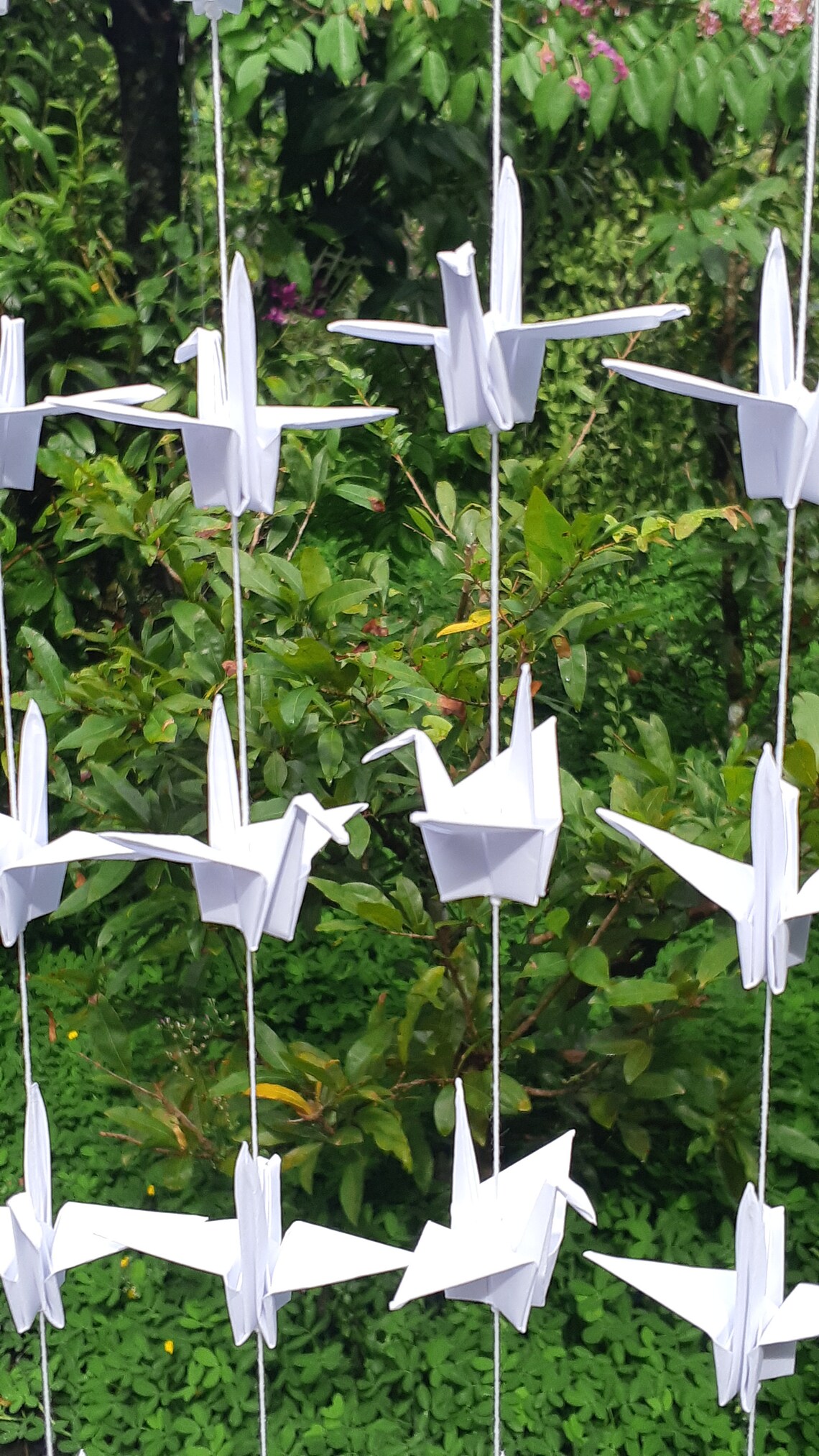 500 Paper Cranes Garland in White Color, 20 Strands of 25, 4" X 4 ...