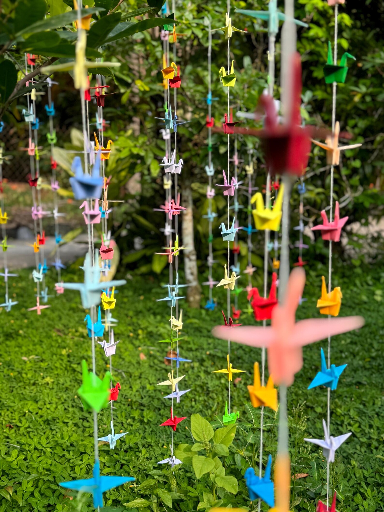 1,000+ Paper Cranes Garland, Strand of 20 Pcs, Multicolors, Printing ...