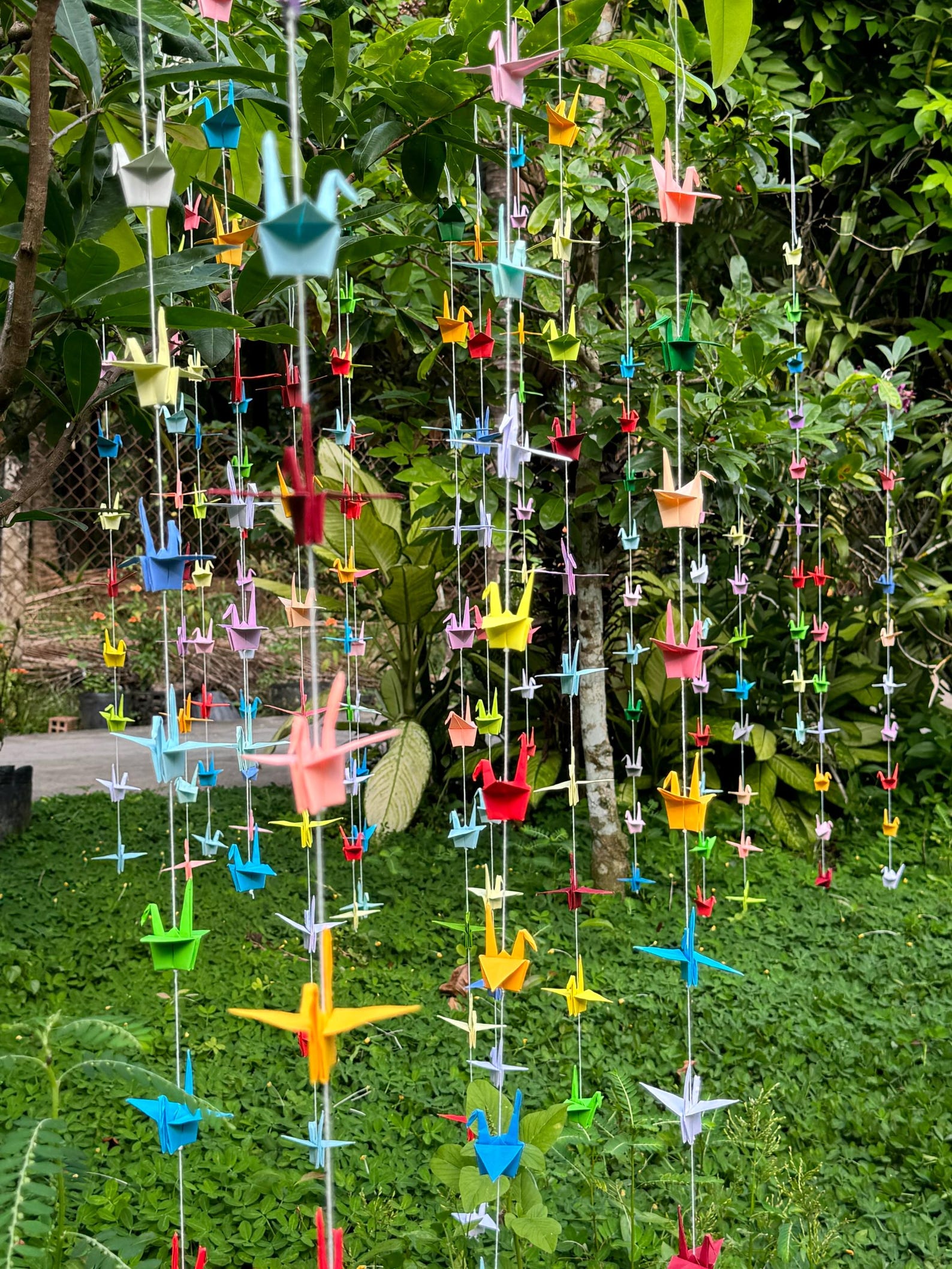 1,000+ Paper Cranes Garland, Strand of 20 Pcs, Multicolors, Printing ...
