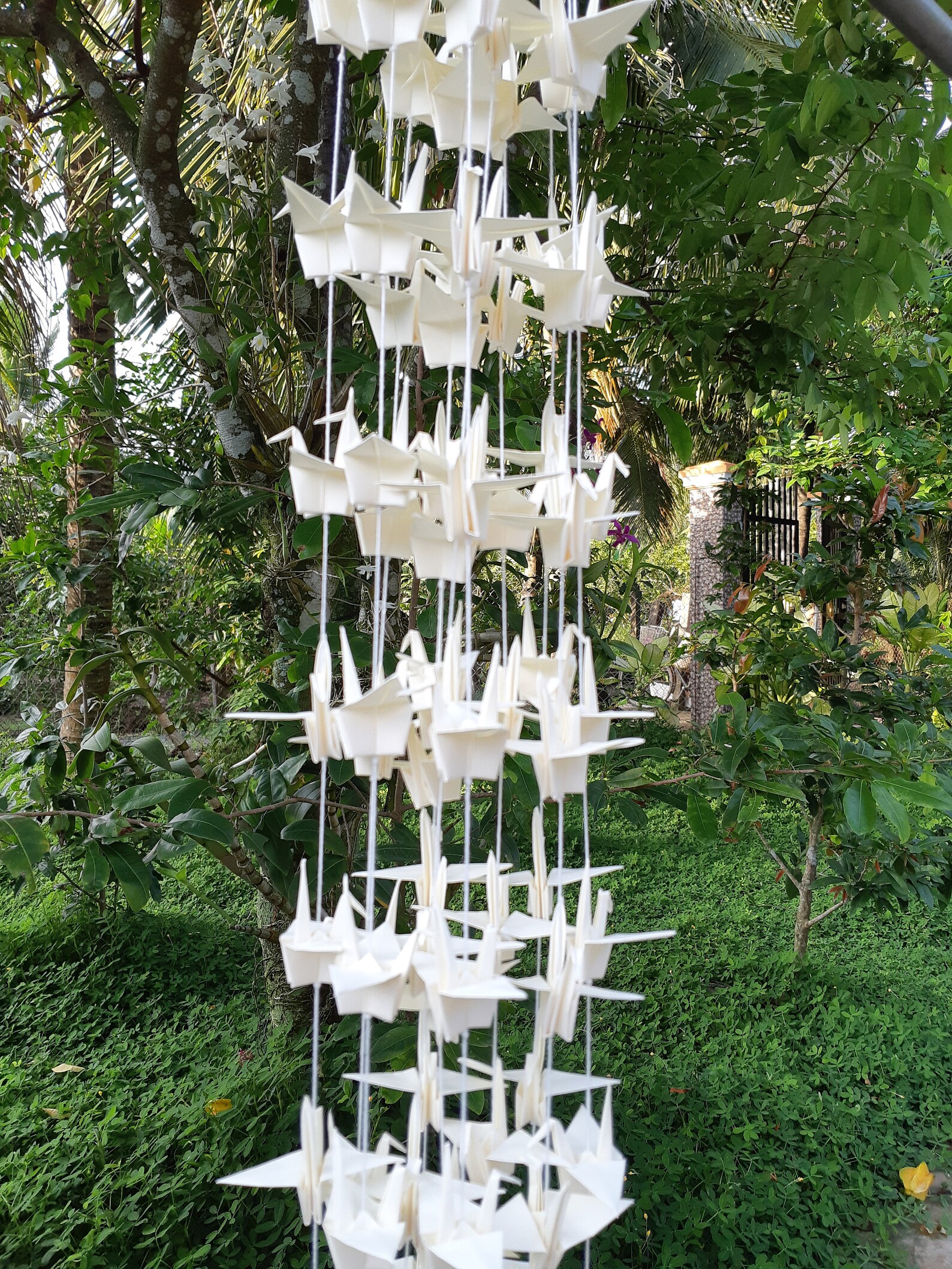 1,000 Paper Cranes Garland, 50 Strands Set of 20, Pick Your Color ...