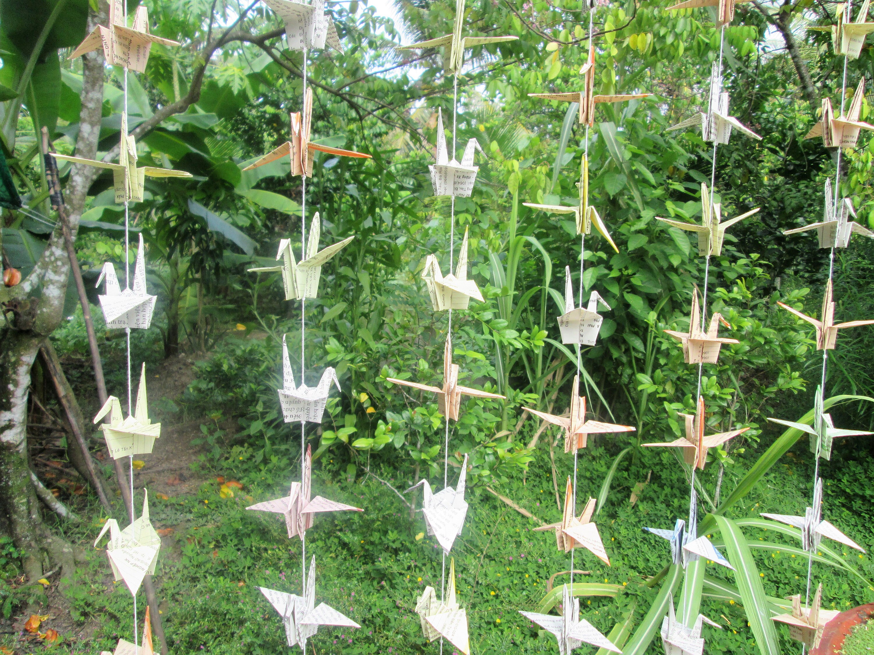1,000 Paper Cranes Garland, 50 Strands of 20, Recycled Paper, Hanging ...