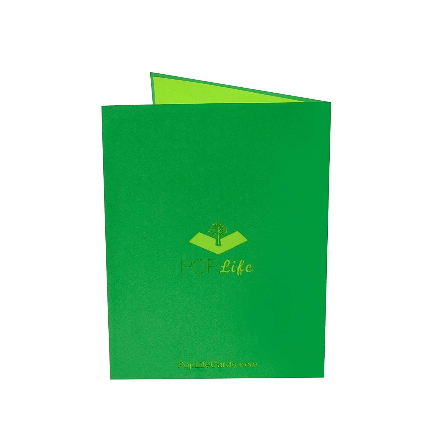 Tropical Waterfall Pop up Card - Etsy