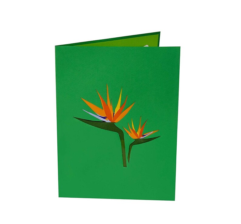 Tropical Waterfall Pop up Card - Etsy