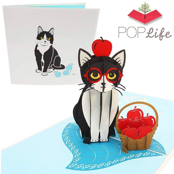 Cat Pop up Card - Etsy