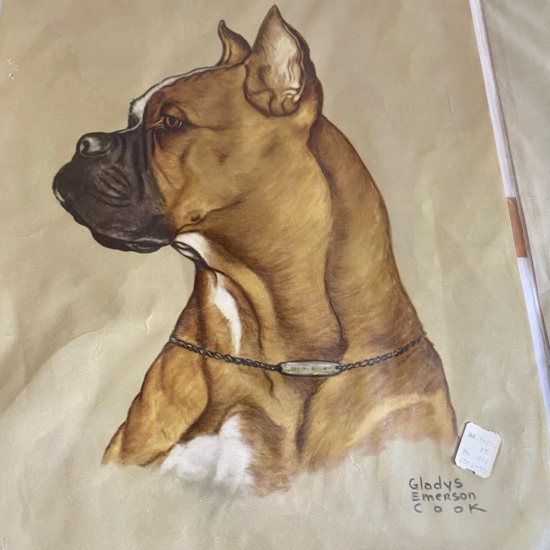 Gladys Emerson Cook 1947 Boxer Breed Dog Art Print - Etsy