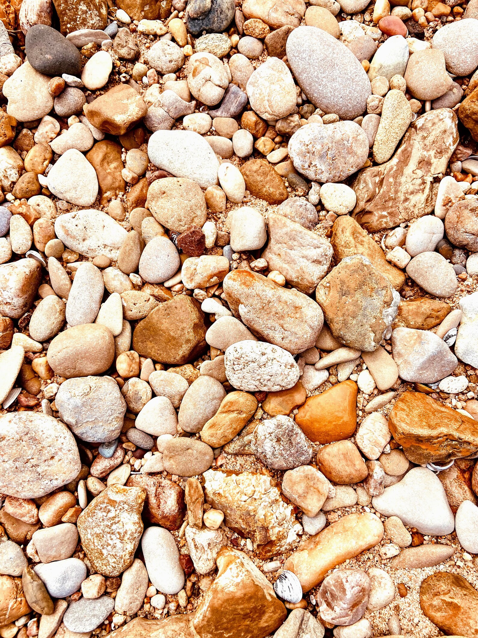 Colorado River Rocks - Etsy