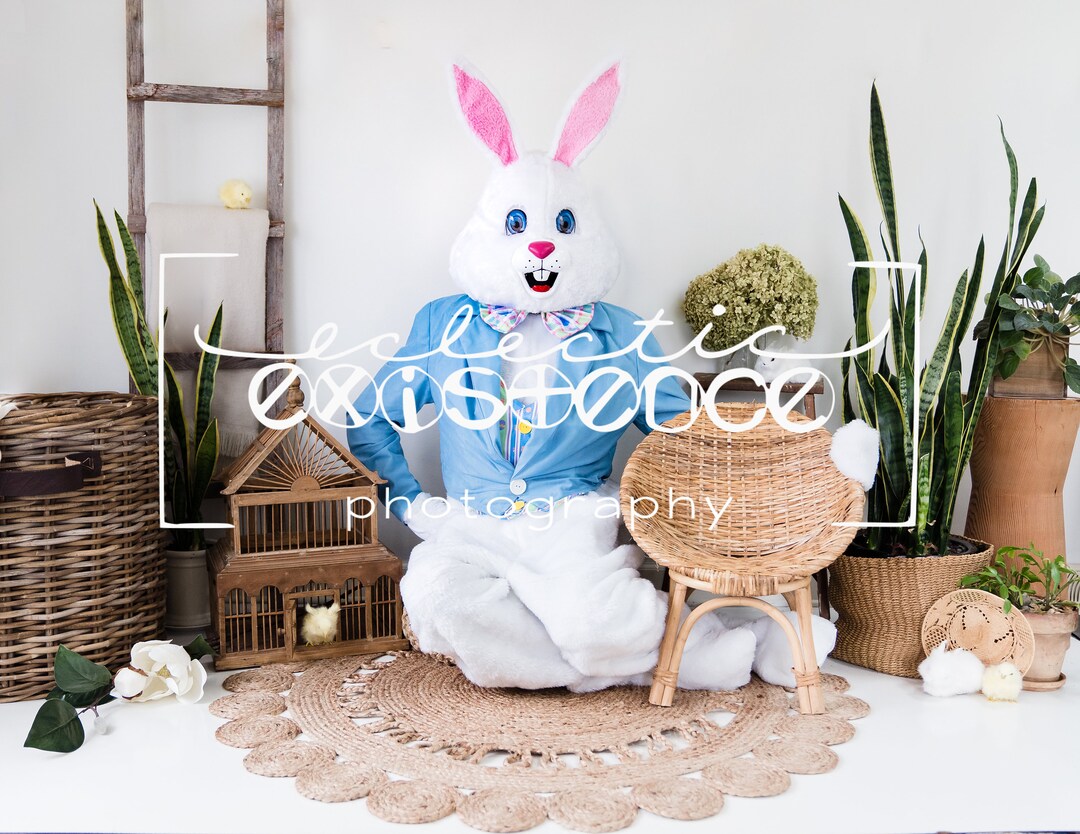 10 Easter Bunny Digital Backgrounds (in Both JPEG & PNG Formats) - Etsy