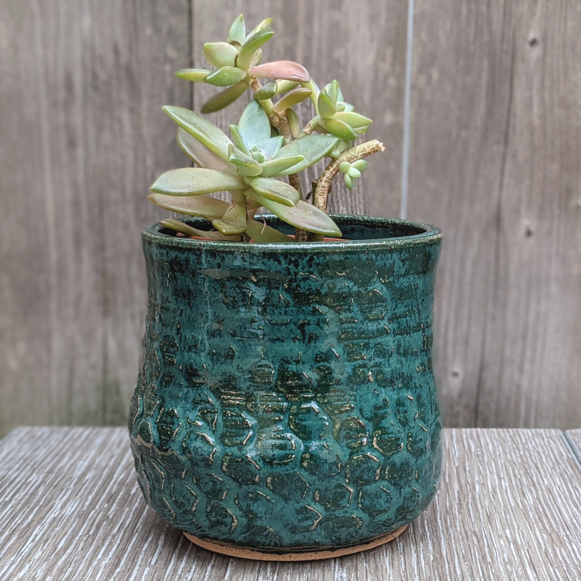 Green Honeycomb Plant Cachepot / Handmade Pottery Planter / | Etsy