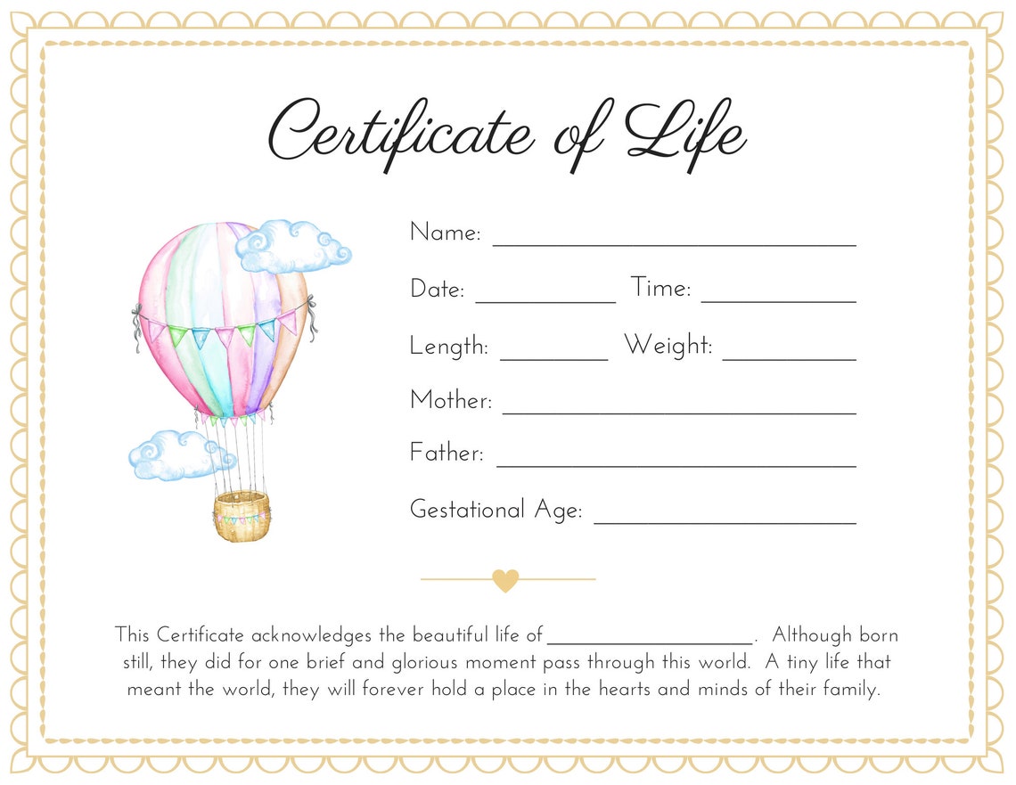 Certificate of Life Printable Multiple Versions - Etsy