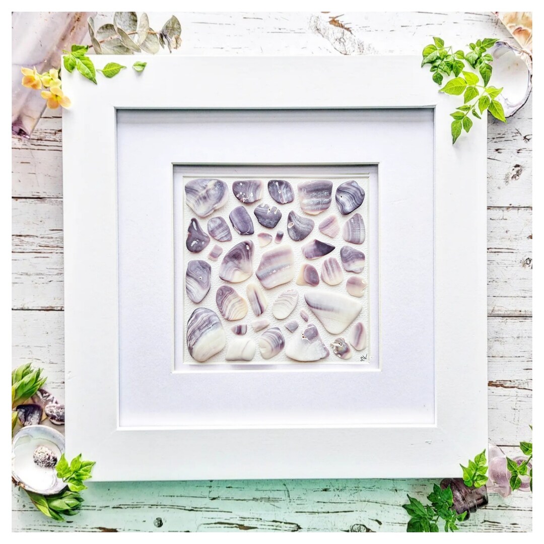 Sea Shell Art Wampum Beach Art Sea Shell Decor Exact Frame Actual Sea ...
