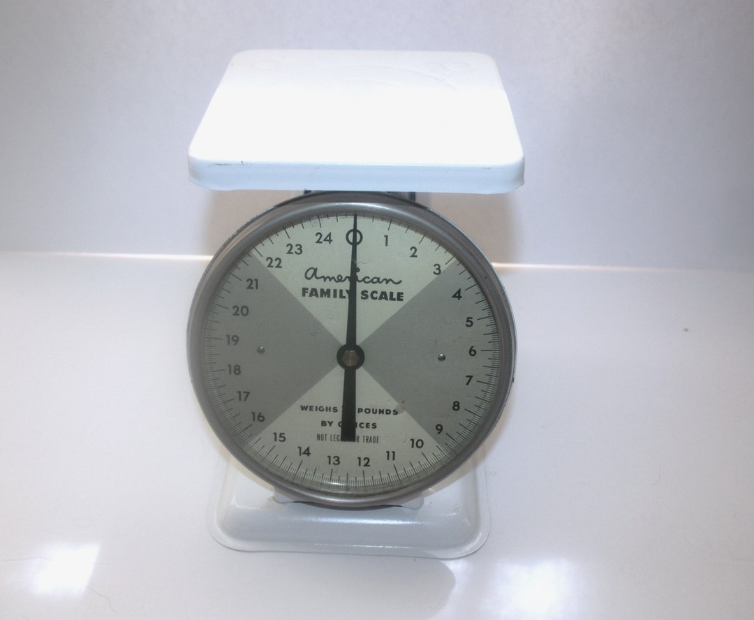 Vintage American Family Scale White - Etsy