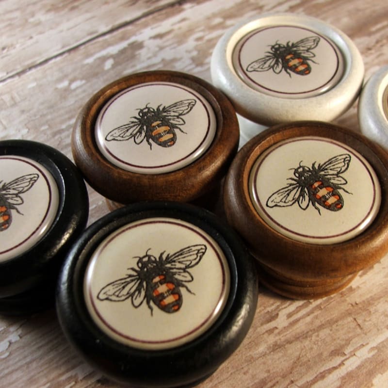 Insect Drawer Knobs - Etsy