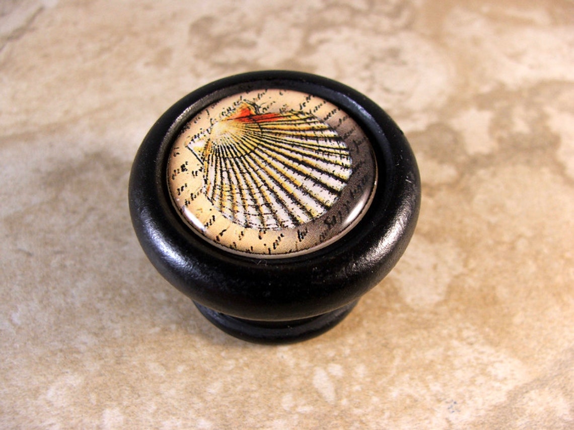 Sea Shell Decorative Cabinet Knobs...price is for 1 Knob - Etsy