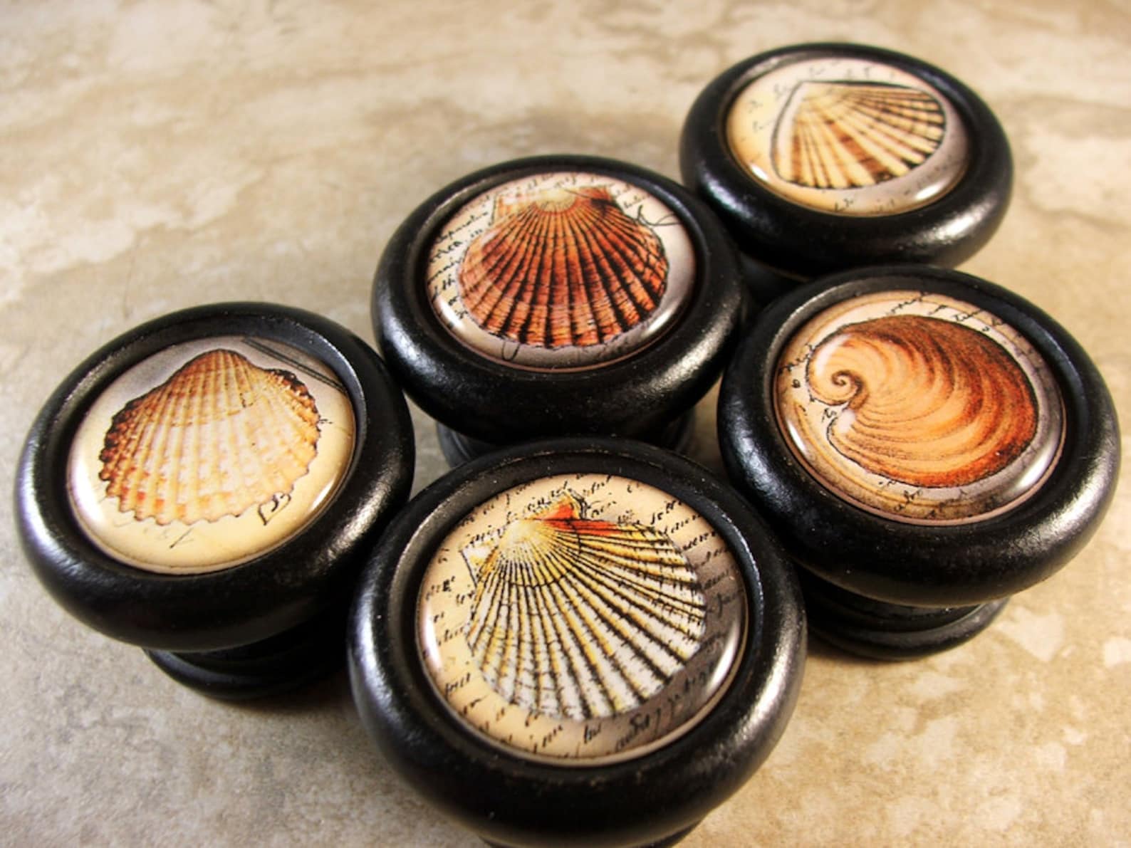 Sea Shell Decorative Cabinet Knobs...price is for 1 Knob discount ...