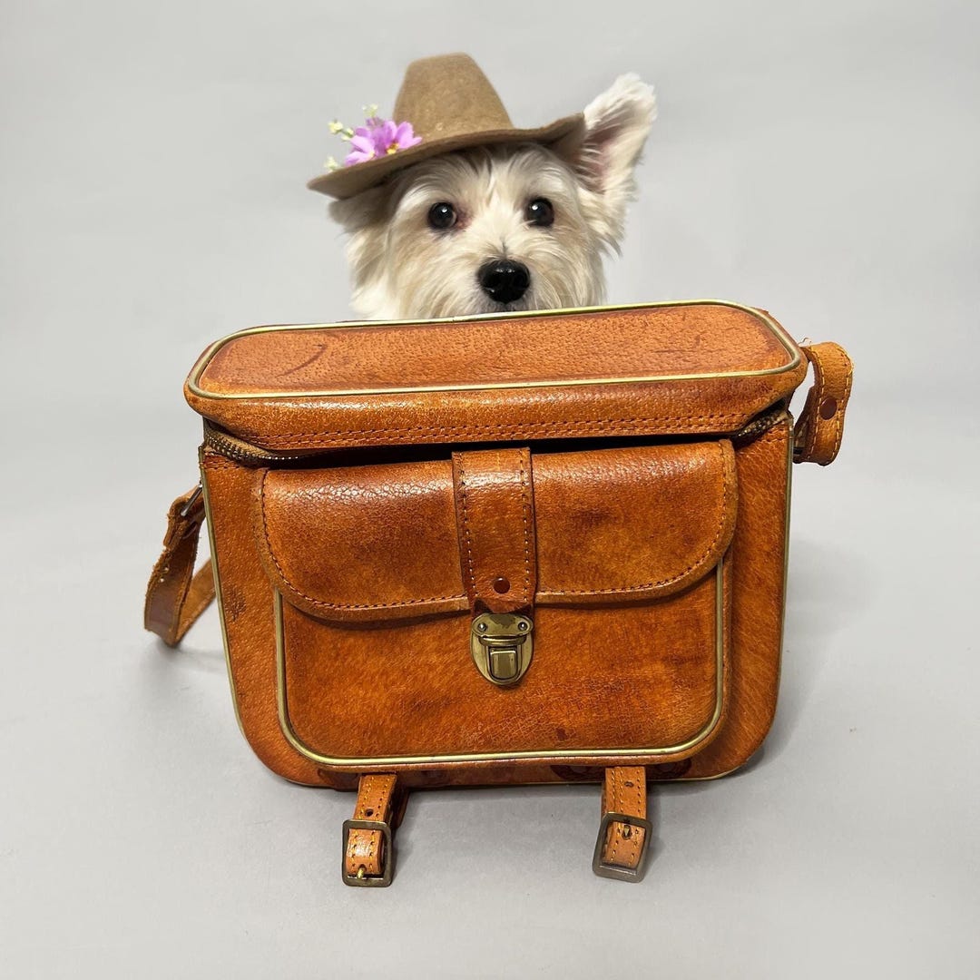 1950s Leather Camera Bag | Vintage Crossbody Photography Case ...