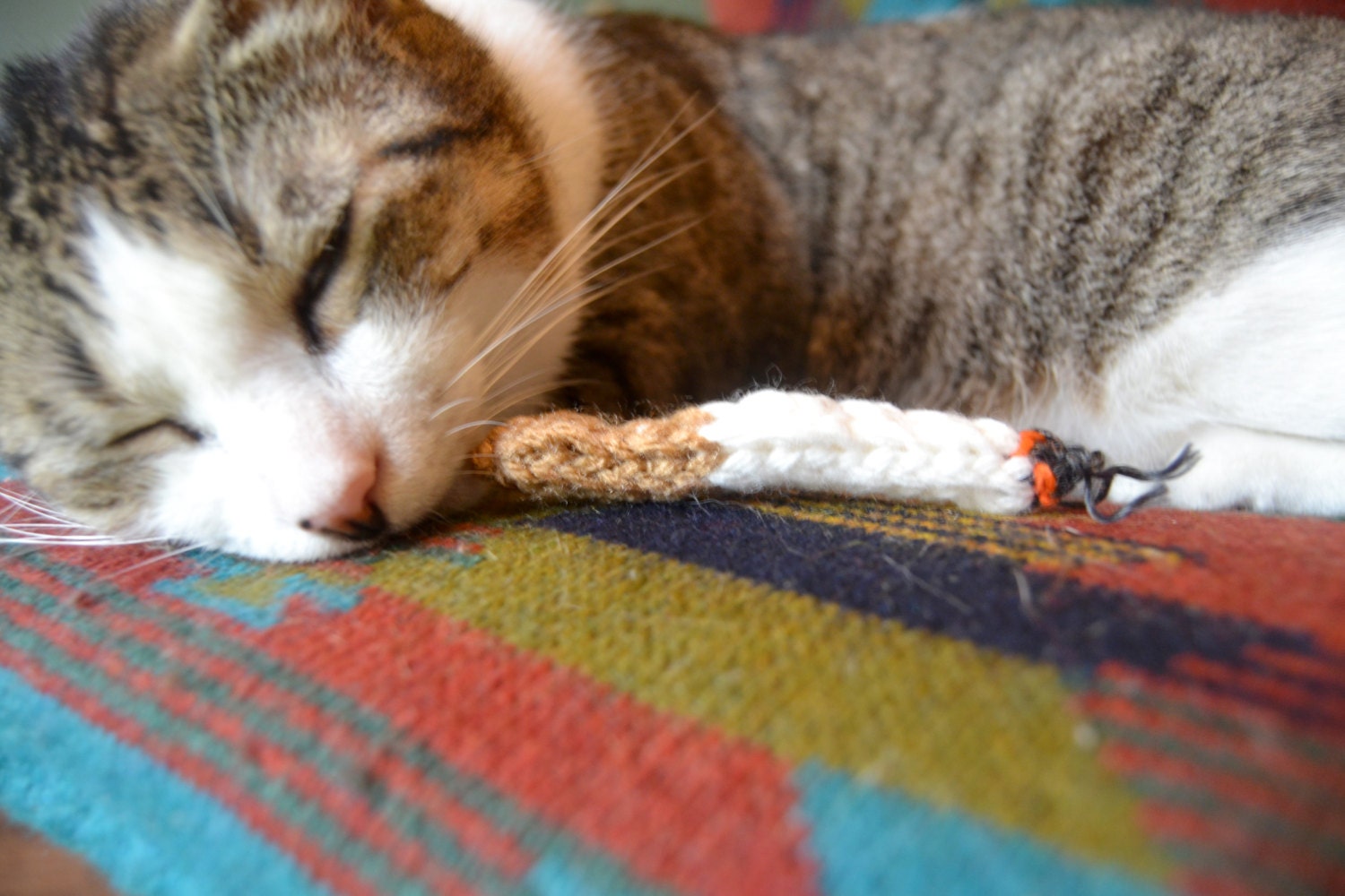 Knitted Cigs Catnip Toys Niparette Cigarette Cats Kitten Cat Lovers ...