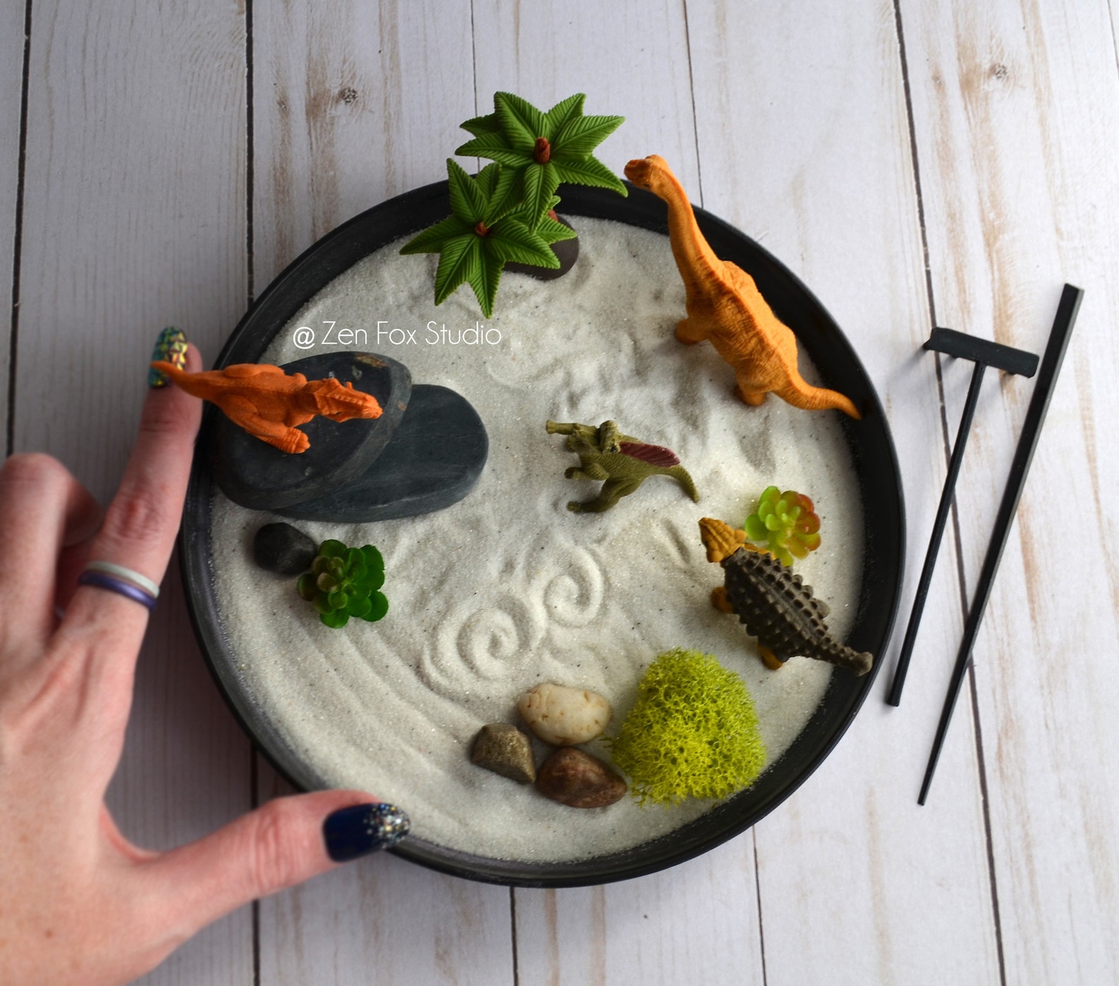 Dinosaur Zen Garden Jurassic T-rex Dino Executive Birthday - Etsy