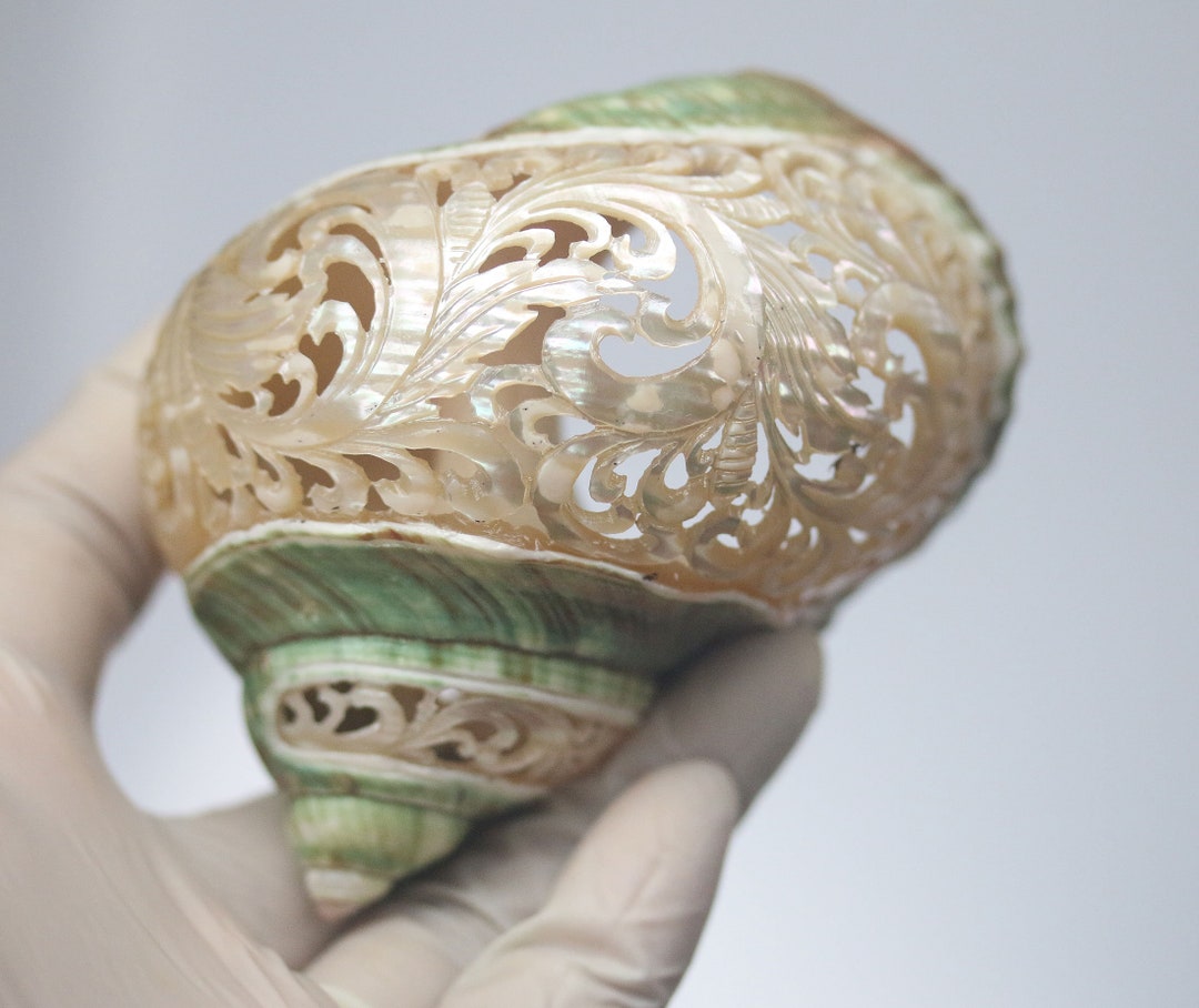 Hand Carved Green Turbo Shell , Floral Style Theme Carvings, Hand ...